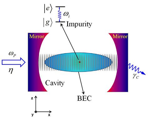 Antibunching Effects In The Hybrid Cavityboseeinstein Condensates System