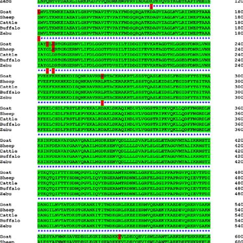 Parameters Computed Using Expasys Protparam Tool Download Scientific Diagram