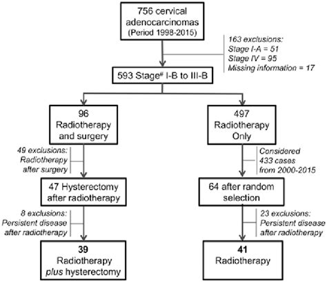 Flowchart Of Patient Selection Figo 2014 Staging System 11