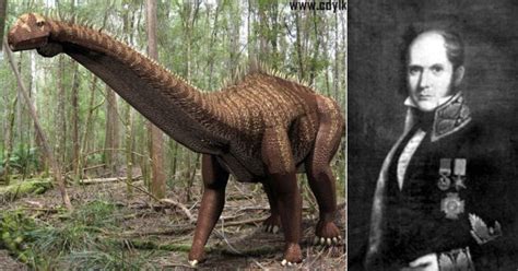 Discovery Of Dinosaurs Fascinating Story Of Indias Prehistoric