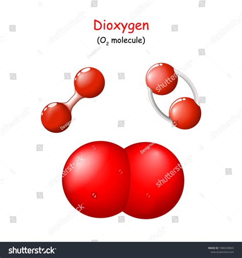 Oxygen Structural Chemical Formula Dioxygen O2 Stock Vector Royalty