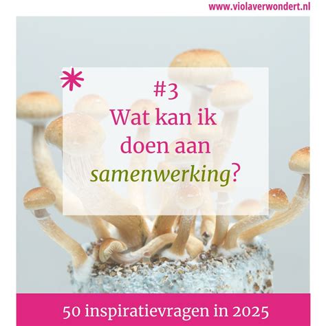 𝗜𝗻𝘀𝗽𝗶𝗿𝗮𝘁𝗶𝗲𝘃𝗿𝗮𝗮𝗴 𝟯 𝗪𝗮𝘁 𝗸𝗮𝗻 𝗶𝗸 𝗱𝗼𝗲𝗻 𝗼𝗺 𝗱𝗲 𝘀𝗮𝗺𝗲𝗻𝘄𝗲𝗿𝗸𝗶𝗻𝗴 𝗶𝗻 𝗺𝗶𝗷𝗻 𝘁𝗲𝗮𝗺 𝘁𝗲