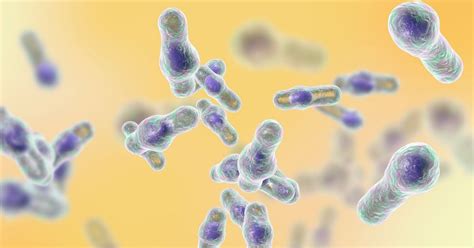 Wastewater Treatment Biolynceus Biological Solutions®