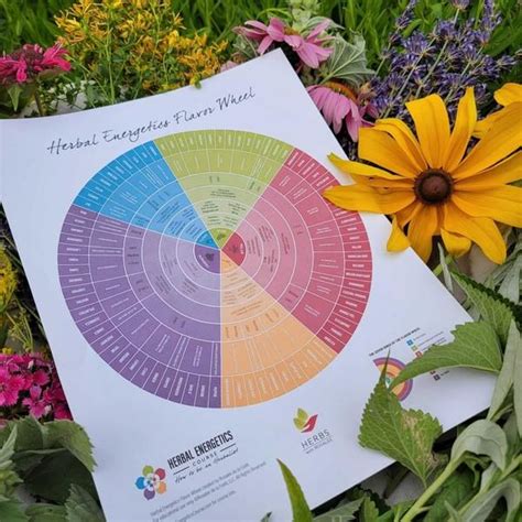 Mini Herbal Energetics Opt In 2025