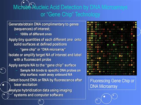 Nucleic Acid Based Methods I Ppt Download