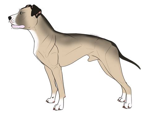 Apbt Adopt Open By Sugar Muttz On Deviantart
