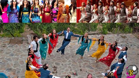 آهنگ شماره 1 کاروان خباتی🌱♥️ فیلو