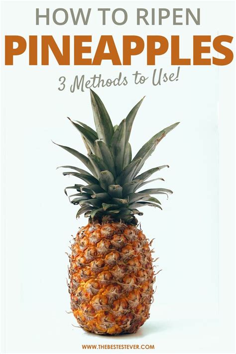 How To Ripen Pineapples Quickly 3 Best Methods To Use How To Ripen