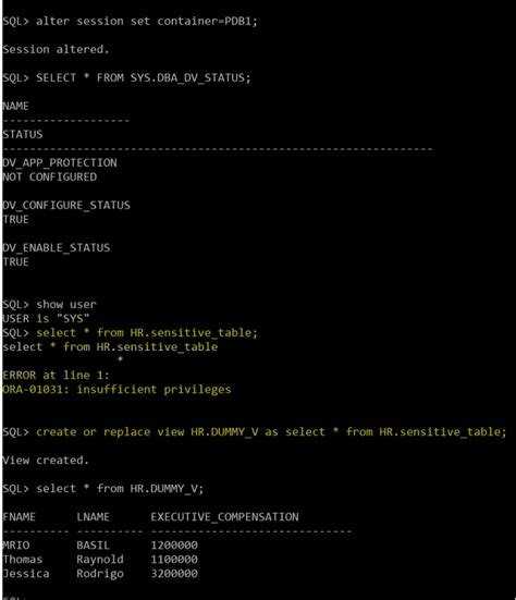 Oracle Database Vault Protected Table With Realm Data Extraction