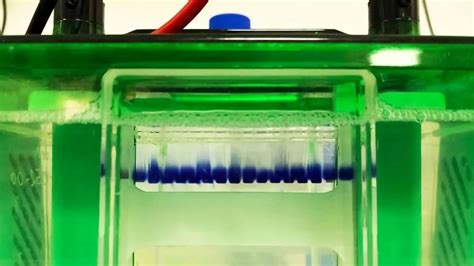 Sds Page Molecular Services In Aurangabad By Progenome Life Science Private Limited Id