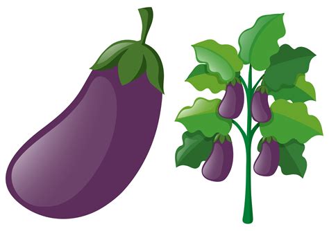 Eggplant Drawing Clipart At Cecil Messer Blog