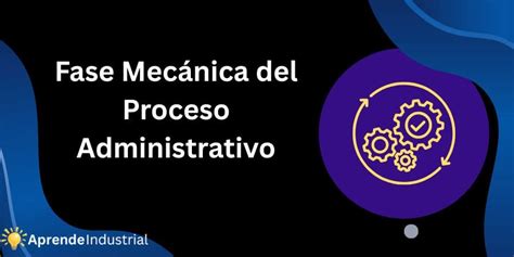 Cuál Es La Importancia De La Fase Dinámica Y Sus Etapas