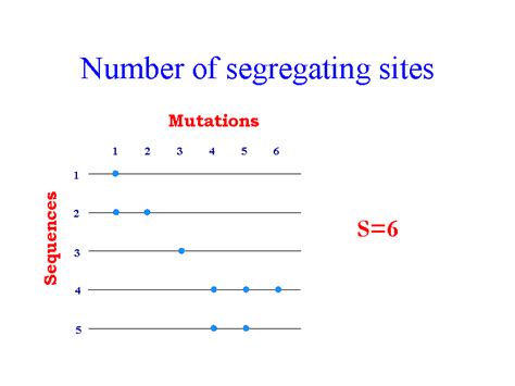 Number Of Segregating Sites
