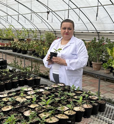 Laboratory Of Germplasm Cryopreservation Institute Of Plant Biology