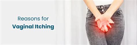 योनि में खुजली के कारण सामान्य कारण और उपचार