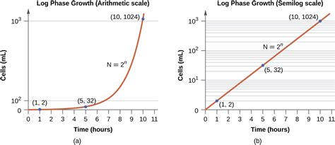 102 Growth Curve Biology Libretexts