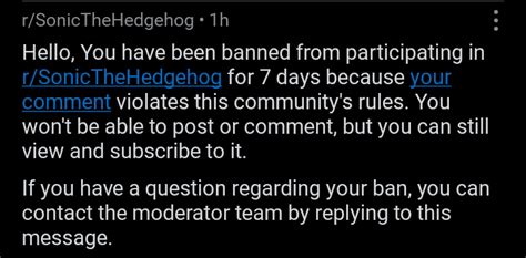 All I Did Was Say That Sonic X Tails Is A Weird Ship Rsonicthehedgejerk