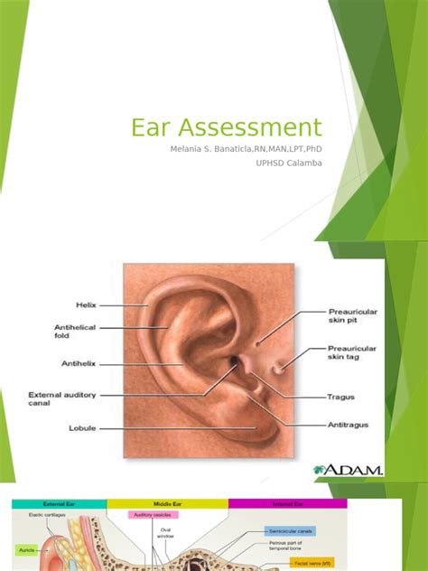 Ear Assessment Pdf Ear Hearing Loss