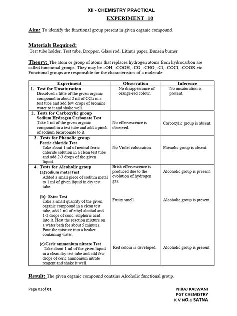 Experiment 10 Pdf Functional Group Chemical Compounds