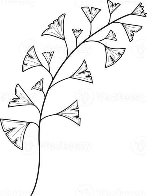 Hand Drawn Curly Grass And Flowers 22353924 Png