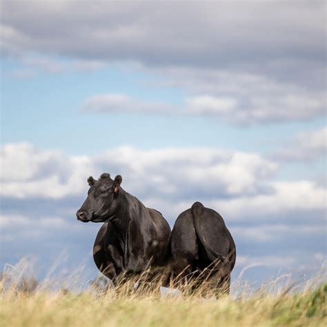 Merry Christmas From Our Crew To Yours ️🎄 Jeremy Stacy Rylee