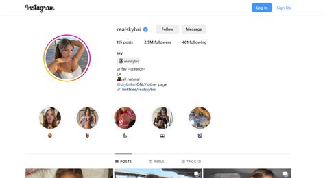 Who Is Sky Bri Unmasking The True Face Of The Internet Sensation