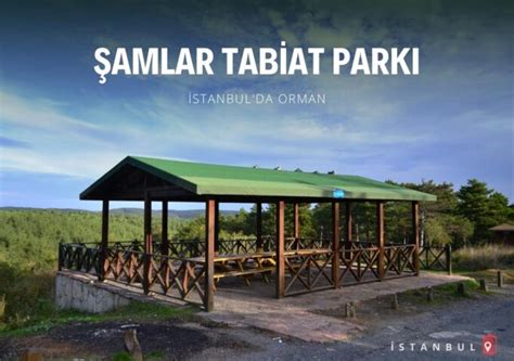 Şamlar Tabiat Parkı Orman Piknik Alanı Ve Detaylı Rehber