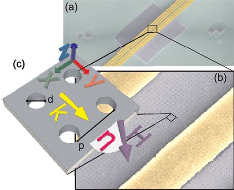 Color Online A And B Scanning Electron Microscope Image Of The