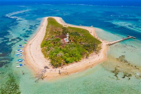 Excursión A La Isla De Enmedio Desde Veracruz