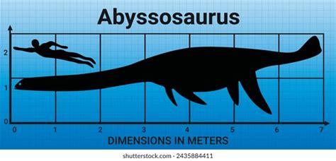 Sea Monsters Comparing Size Abyssosaurus Average Stock Vector Royalty