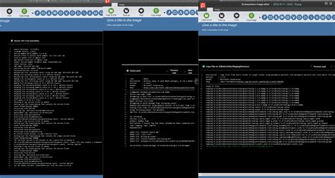Nuget Pack For Net Standard Not Updating Version Build Number In Csproj File Issue