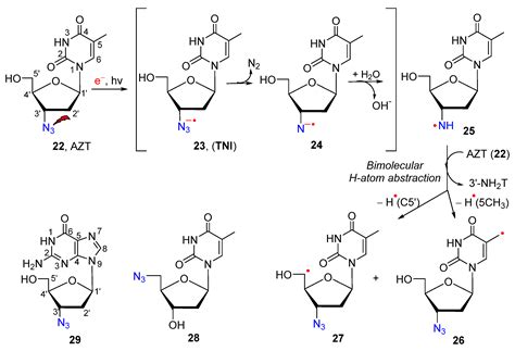 Nitrogen Centered Radicals Derived From Azidonucleosides