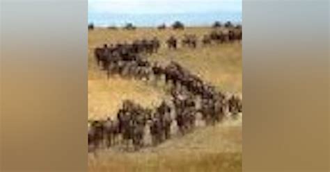 Industrial Software Good Migrations Control Design