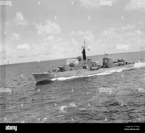 Port View Of C Class Destroyer Hms Cavendish D15 During Exercise Fotex 1964 Iwm Hu 129699