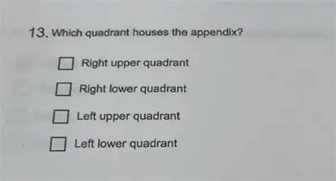 Which Quadrant Houses The Appendix Right Upper Quadrant Right Lower