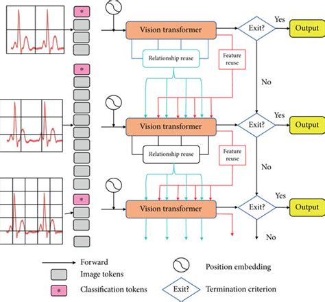 The Vit Model For Ecg Arrythmia Classification Download Scientific
