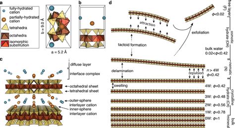 Hierarchical Clay Mineral Structures Of A Dioctahedral Tot Layer A Download Scientific
