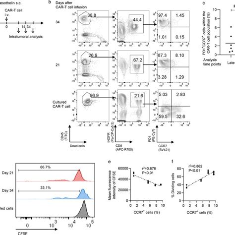 Cd83 Is Predominantly Expressed In The Precursor Exhausted T Cells A