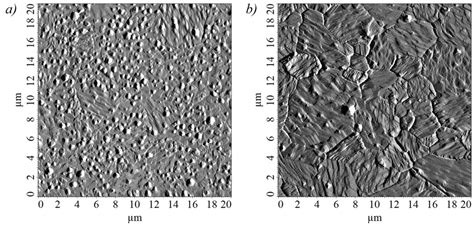 Afm Scan Of 1000 Nm Thick Bismuth Film On A Glass Substrate B