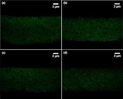 Cross Section Of The Coated Paper A Hema 0 120 ℃ B Hema 9 120