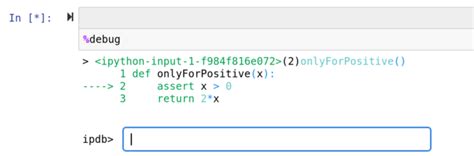 Using The Debugger Computational Physics