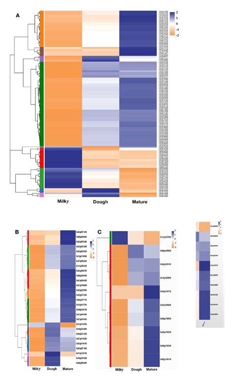 Figure 11 From Integrative Hplc Profiling And Transcriptome Analysis