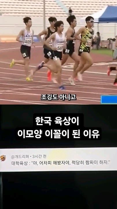 한국 육상이 요모양 요꼴이 된 이유 Shorts Youtube