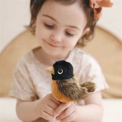 Folkmanis Mini Robin Finger Puppet The Playful Peacock