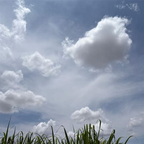 Aws Coach · Free Ai Chatbot