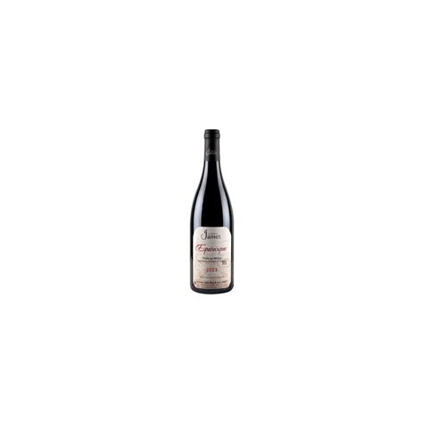 Domaine Jean Paul Corinne Et Loïc Jamet Côtes Du Rhône Equivoque Rouge