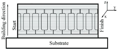 A Scheme Of Specimen Orientation Relative To The Building Direction Of