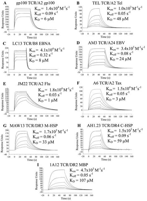 Human Tcr Binding Affinity Is Governed By Mhc Class Restriction1 The
