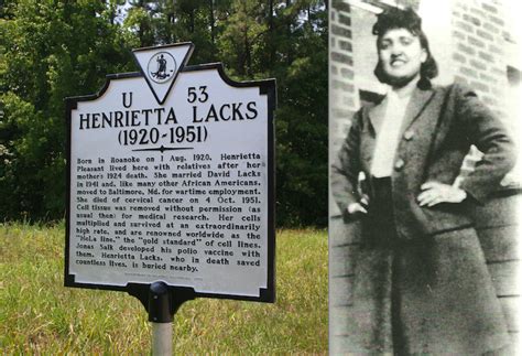 Henrietta Lacks Células Inmortales Bionoticias Cl