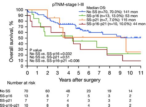 Km Analysis For Os Of A Homogenous Patient Cohort Of 100 Nsclc Patients